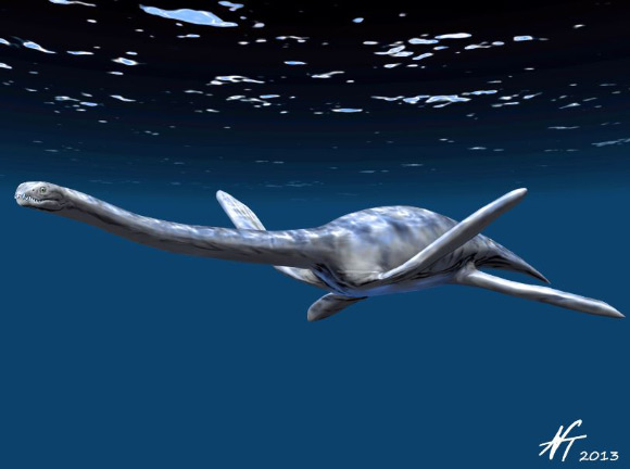 THE VIEW FROM FEZ: May 2013