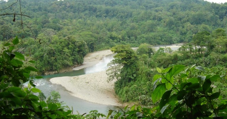 ECOSISTEMAS DE COSTA RICA: ZONA PROTECTORA CUENCA DEL RÍO BANANO