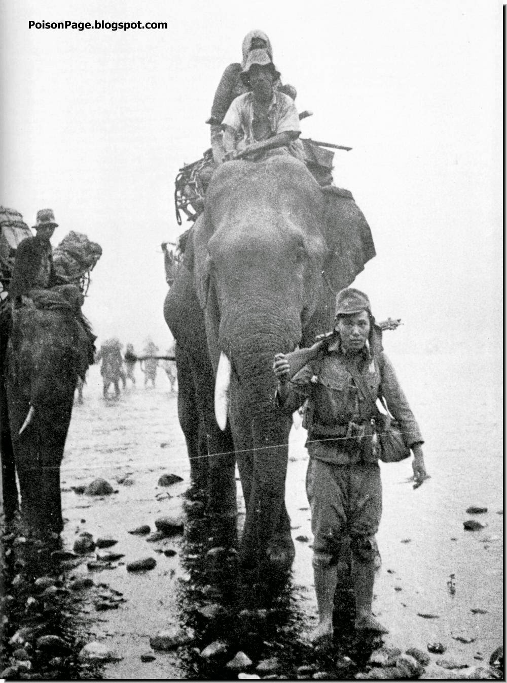 PICTURES FROM WAR AND HISTORY: Japanese Soldiers During WW2: In Pictures