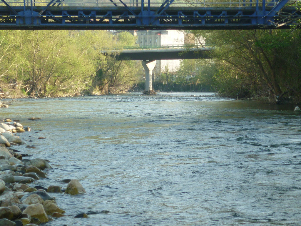 asturmosca: Río Nalón, cuando el rio suena...