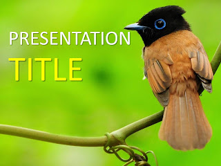 Bird PowerPoint Template 1
