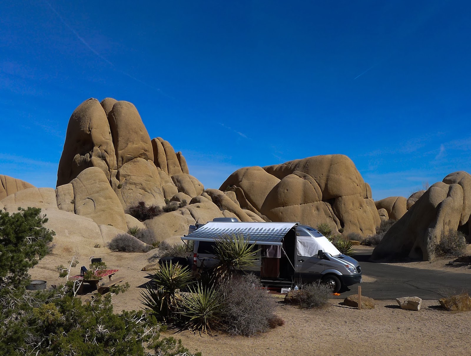 Roadtrek Girl: Joshua Tree-An Amazing Magical Spot in the Desert