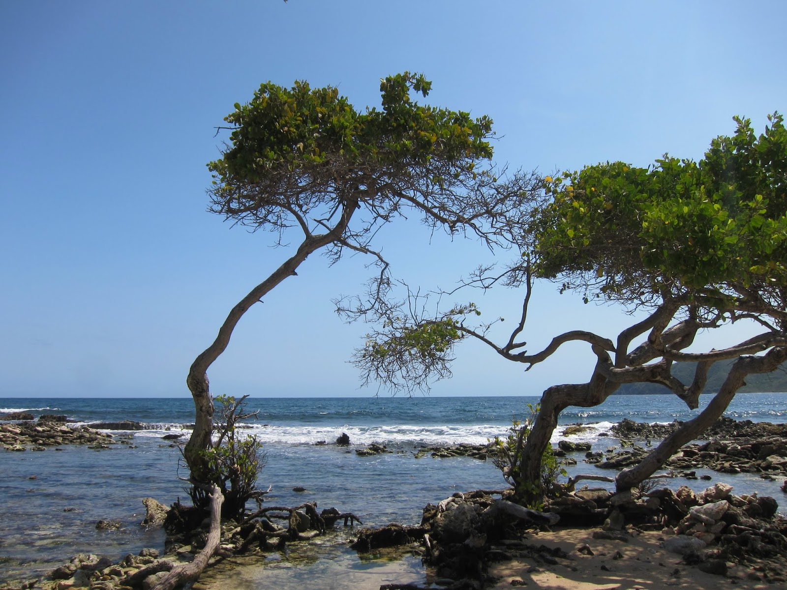 Patanemo, la felicidad del Caribe - Viajero de naturaleza