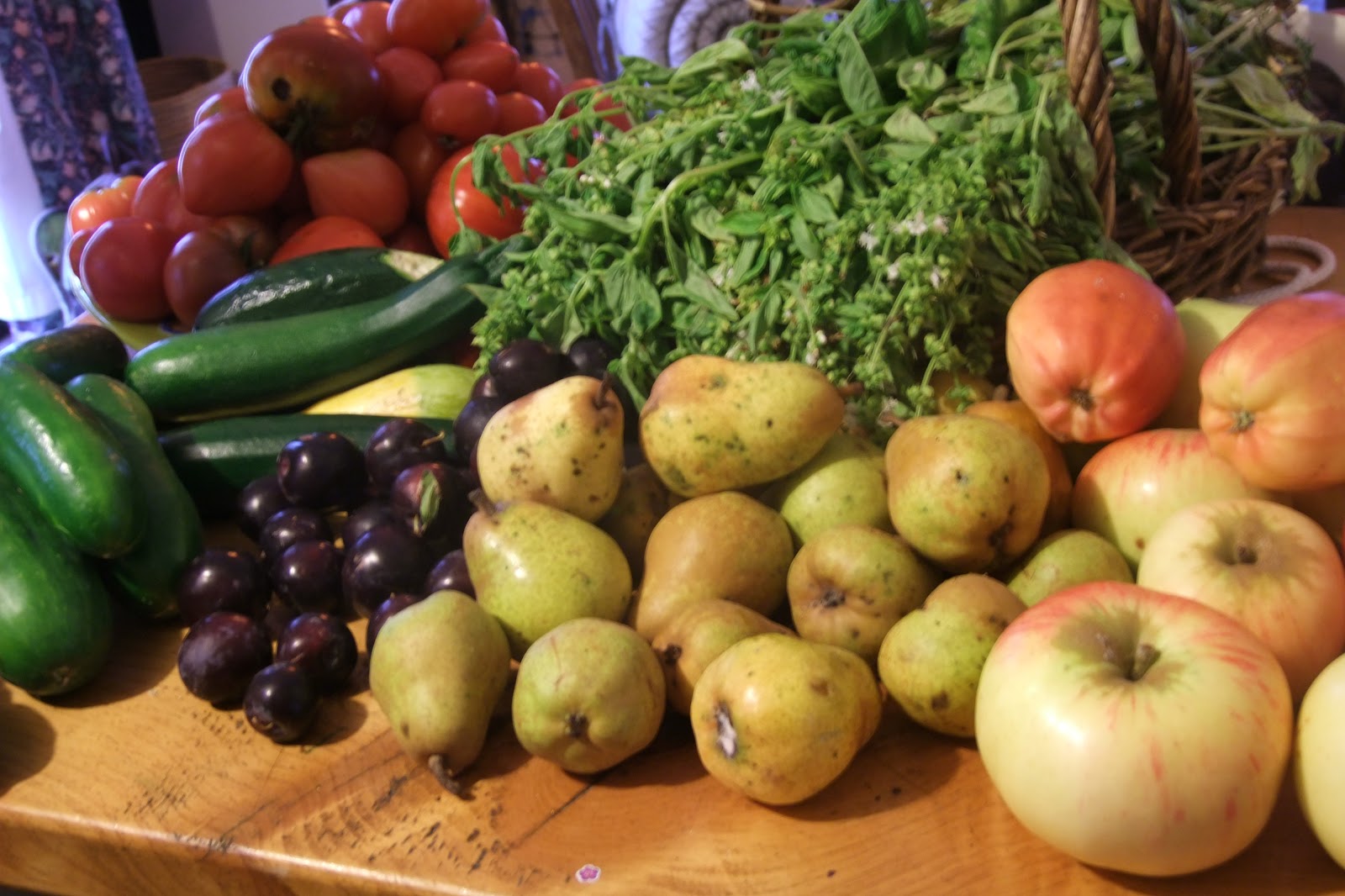 watching kereru: harvesting