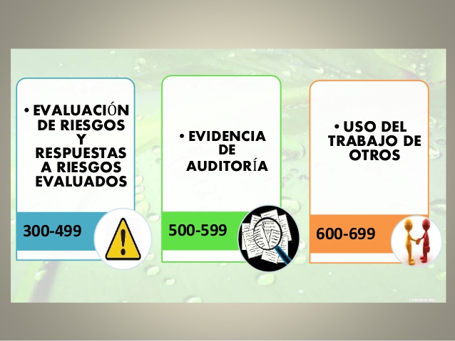 Auditoria I: NIA 330