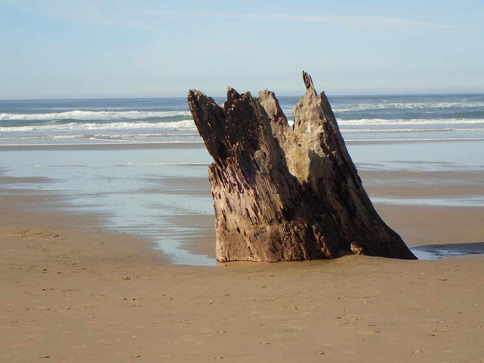 Casing Oregon: Mystery in the Sand: Big Stump Beach