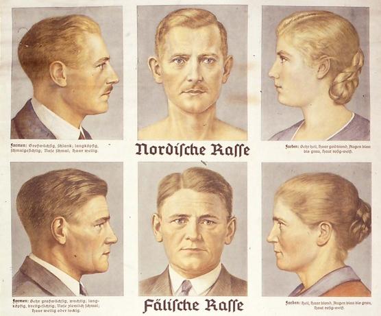 NÁŠ SMĚR: Německá rasová nauka (5.)