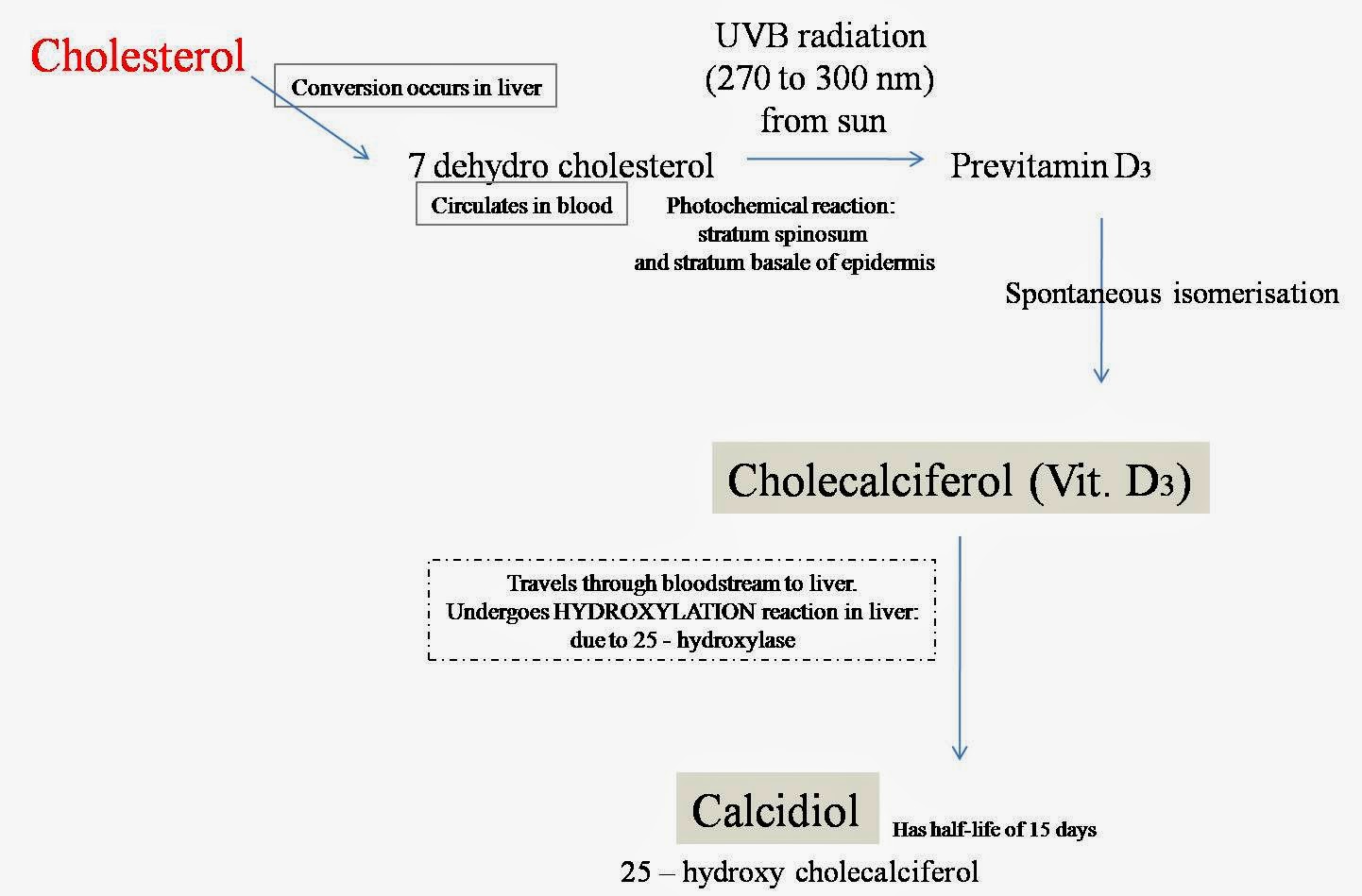 PHARMACEUTICALS AND HEALTHCARE: The growing cholecalciferol (Vit. D3 ...