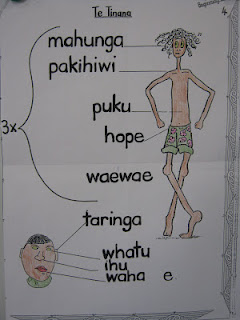 Te Ao Māori @ EHS: E4 Te Tinana