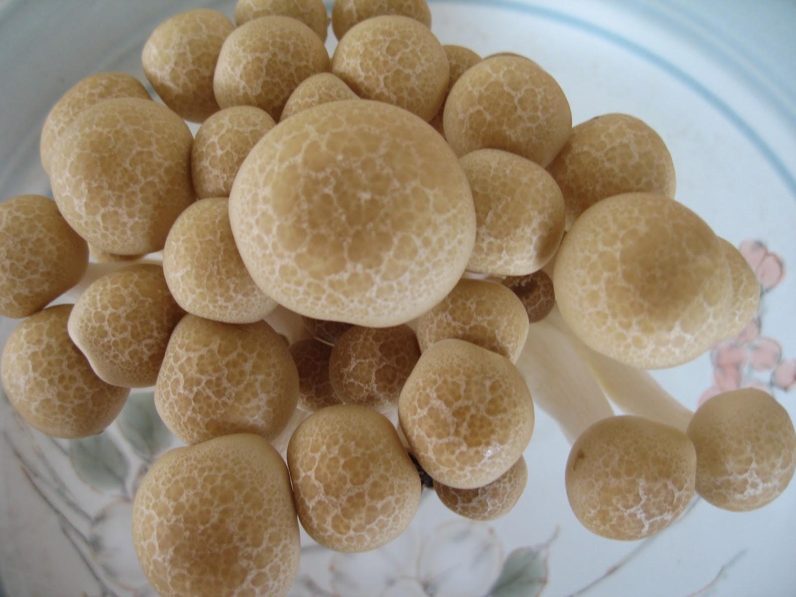 Sumptuous Flavours: Egg Noodle With Shimeji Mushrooms 白玉灵兰菇炒面