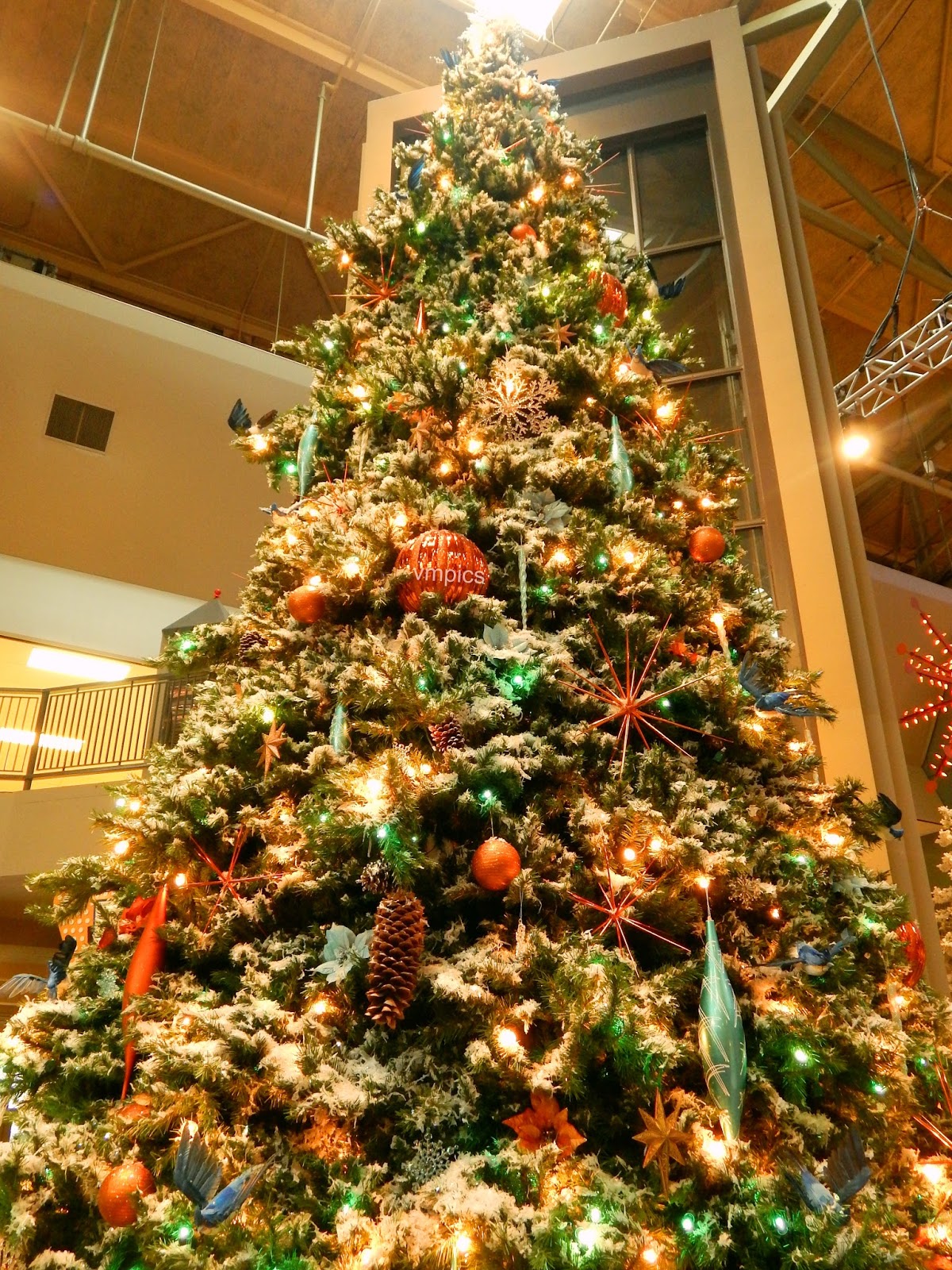 Winterfest at Seattle Center