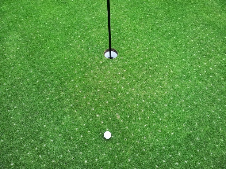 Murrayfield Golf Club - Course Management Blog : October 2013