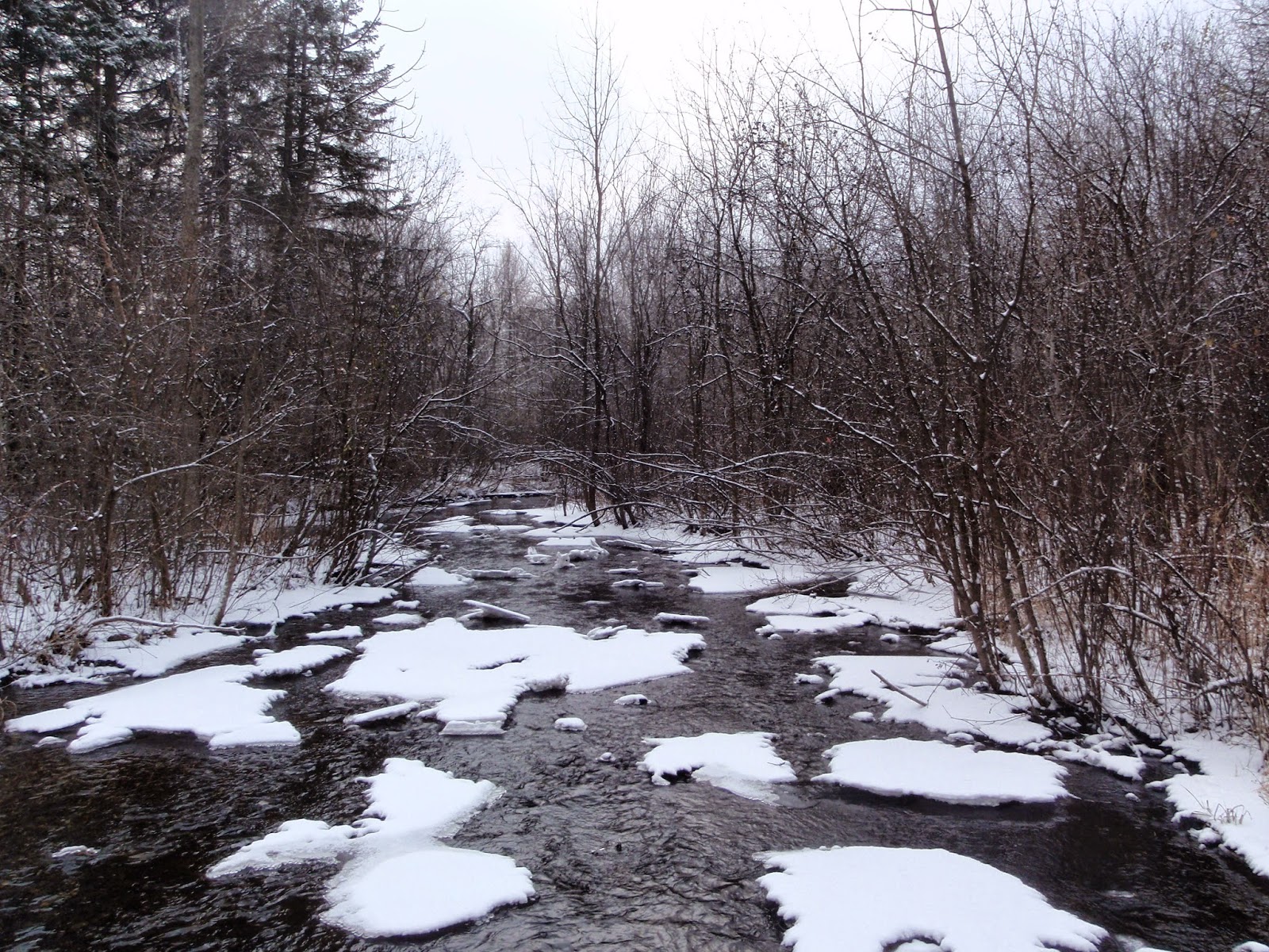 Great Outdoors: Ice Age Trail and the First Snowfall