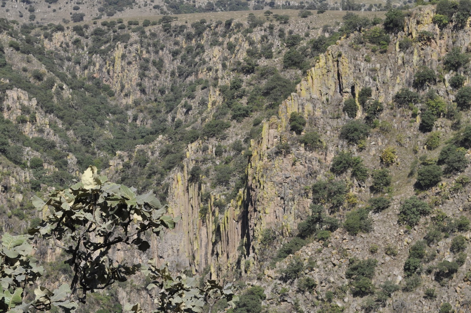 Pueblos de la Barranca del Río Santiago: Fotografías de Huaxtla y su ...
