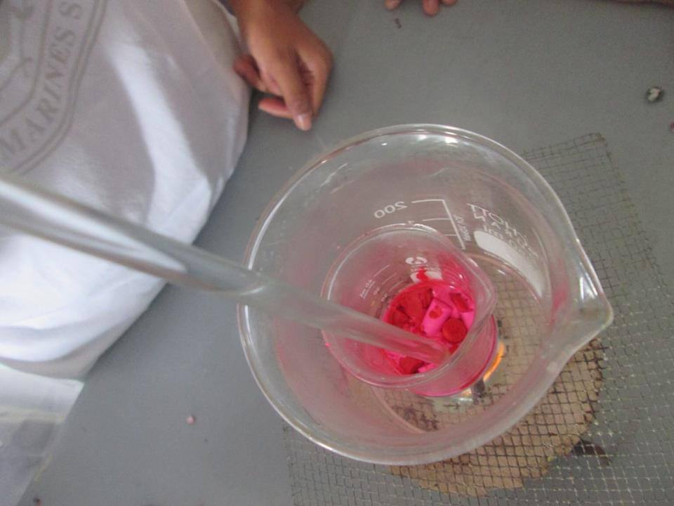 Project in Organic Chemistry