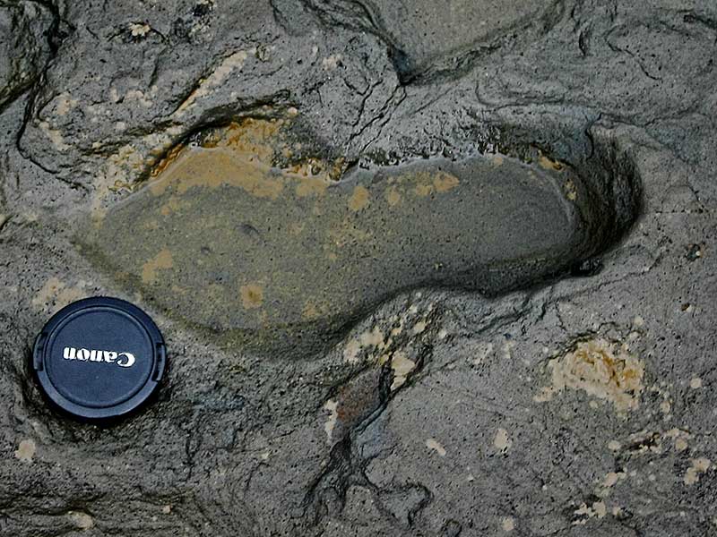 thefuzzysasquatch: The Peopling of the British Isles I - The ...