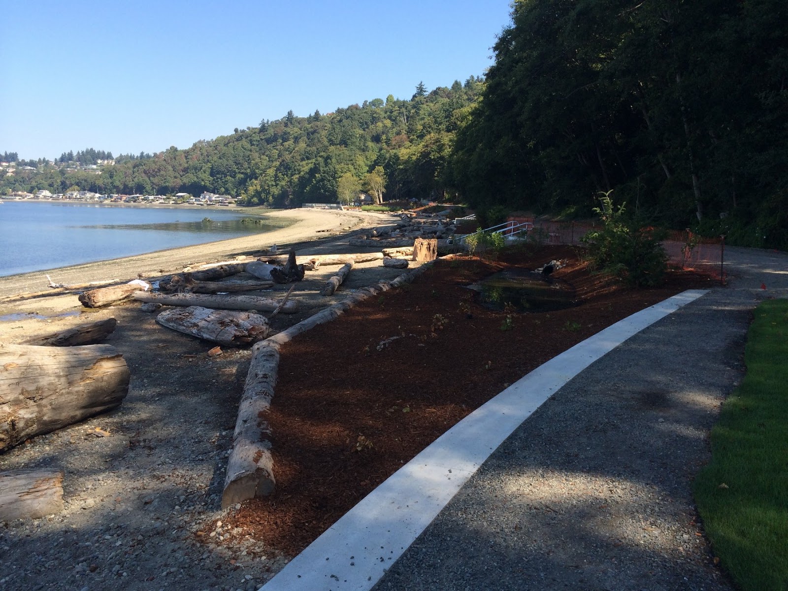 Gravel Beach: Seahurst Park