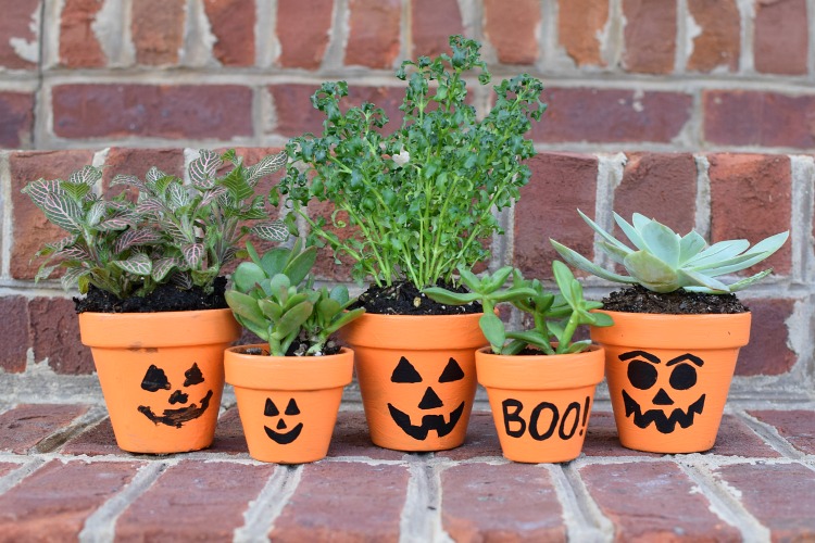 Jack-O-Lantern Flower Pots | What Can We Do With Paper And Glue