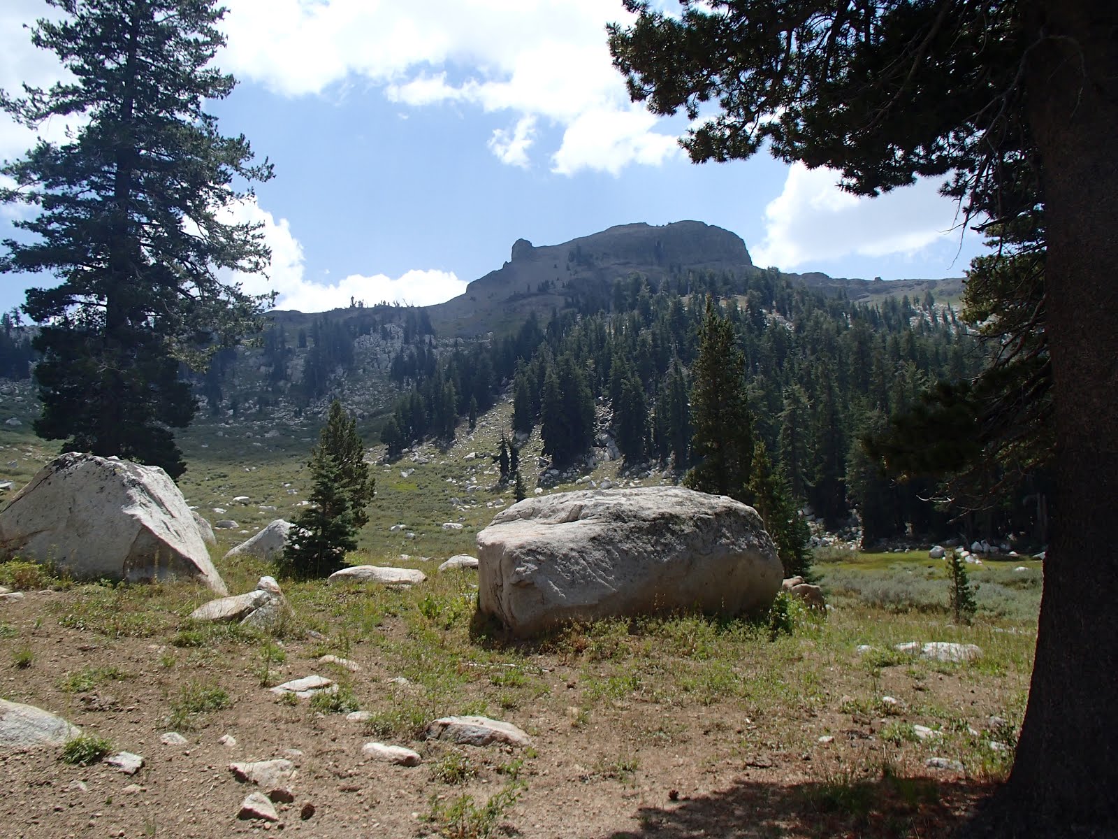 NorCal Dog Trails: Pacific Valley to Bull Run Peak