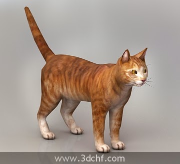 Cat 3D Model Free Download - Free 3D Model