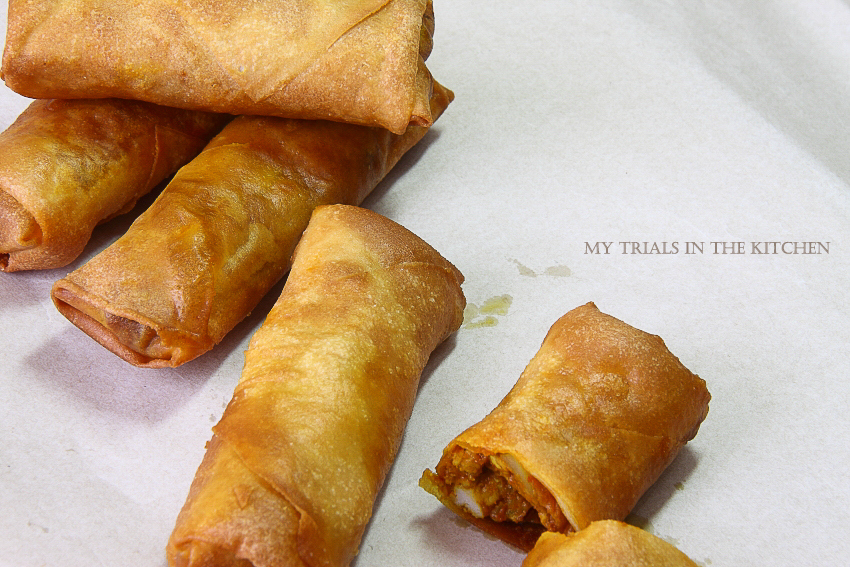 My Trials in the Kitchen: Deep Fried Spring Roll with Curry Chicken ...
