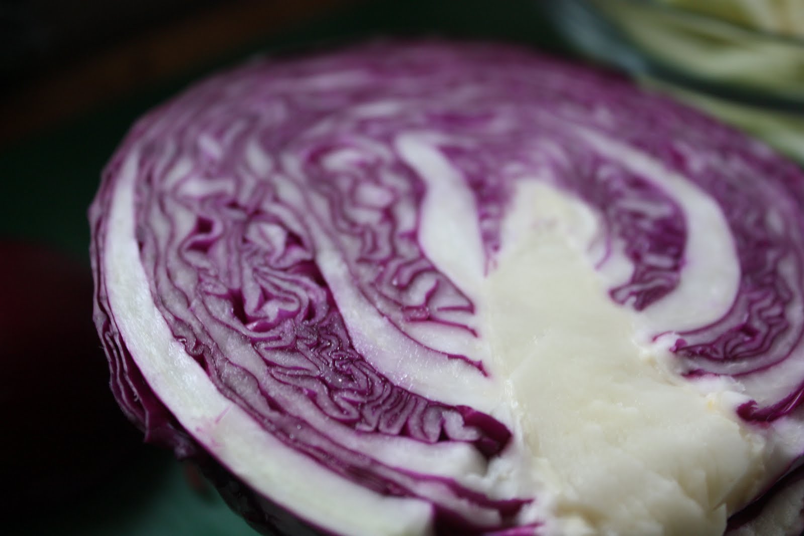 Rotkohl (Sweet & Sour Red Cabbage)