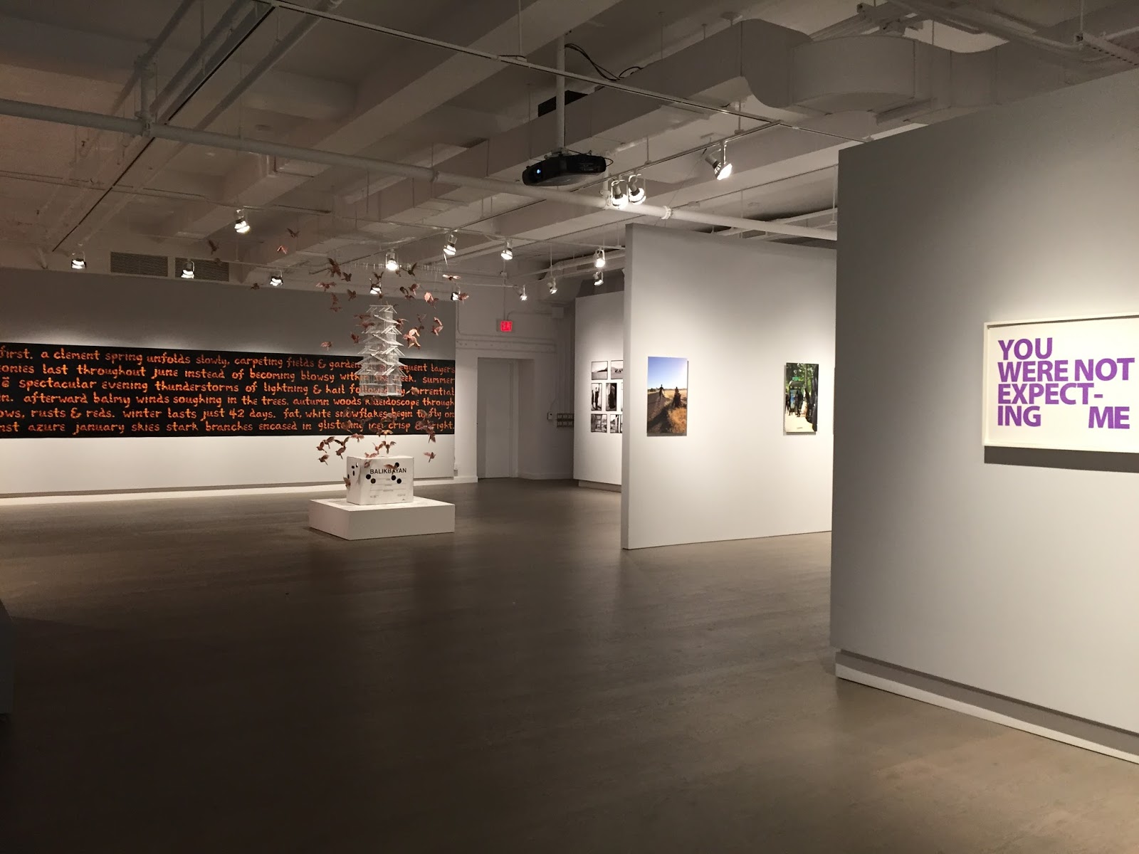 MUSINGS: "REACHING FOR A YONDER HOME": YONDER AT THE KOFFLER GALLERY