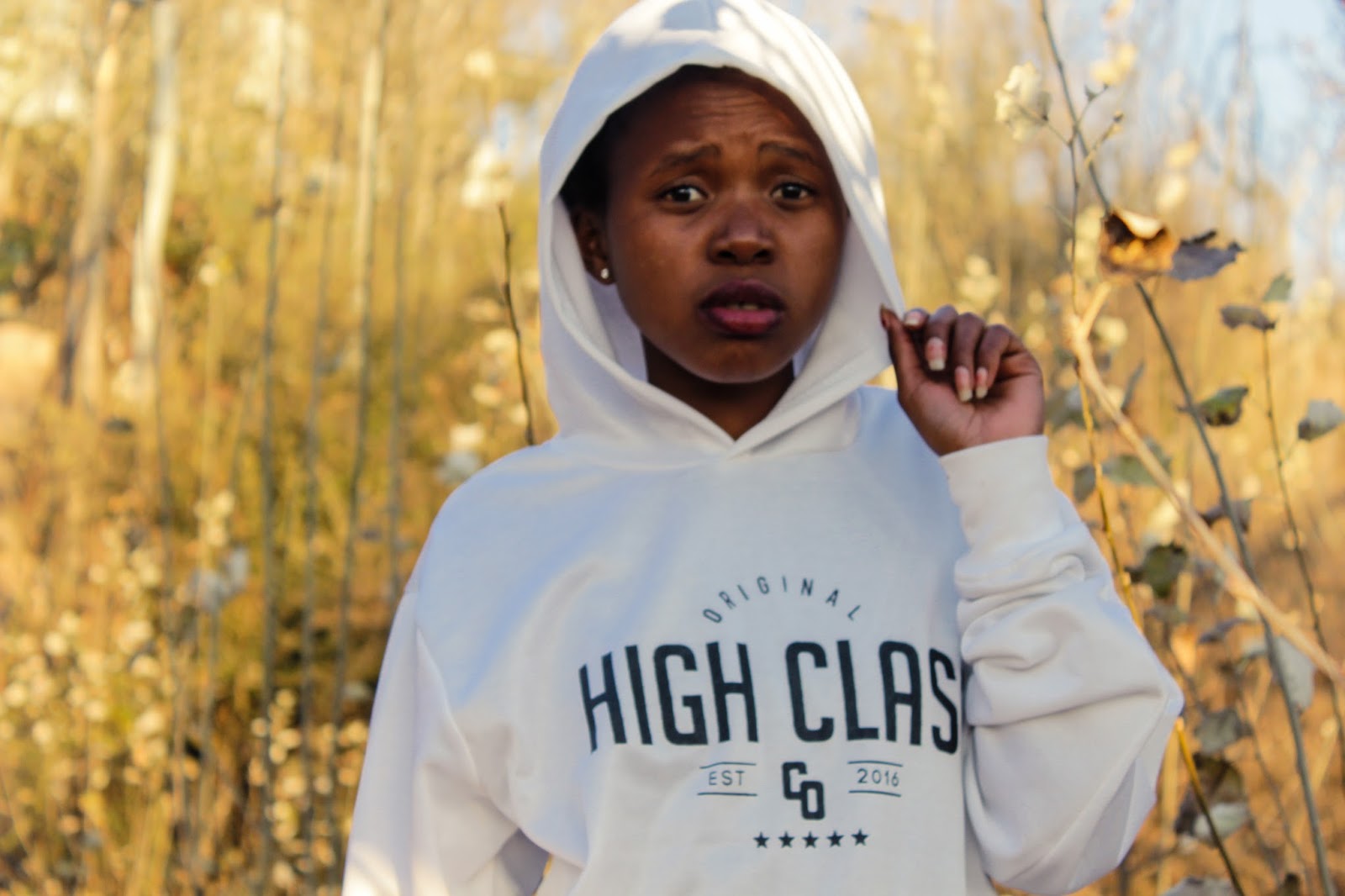 | High Class Lifestyle