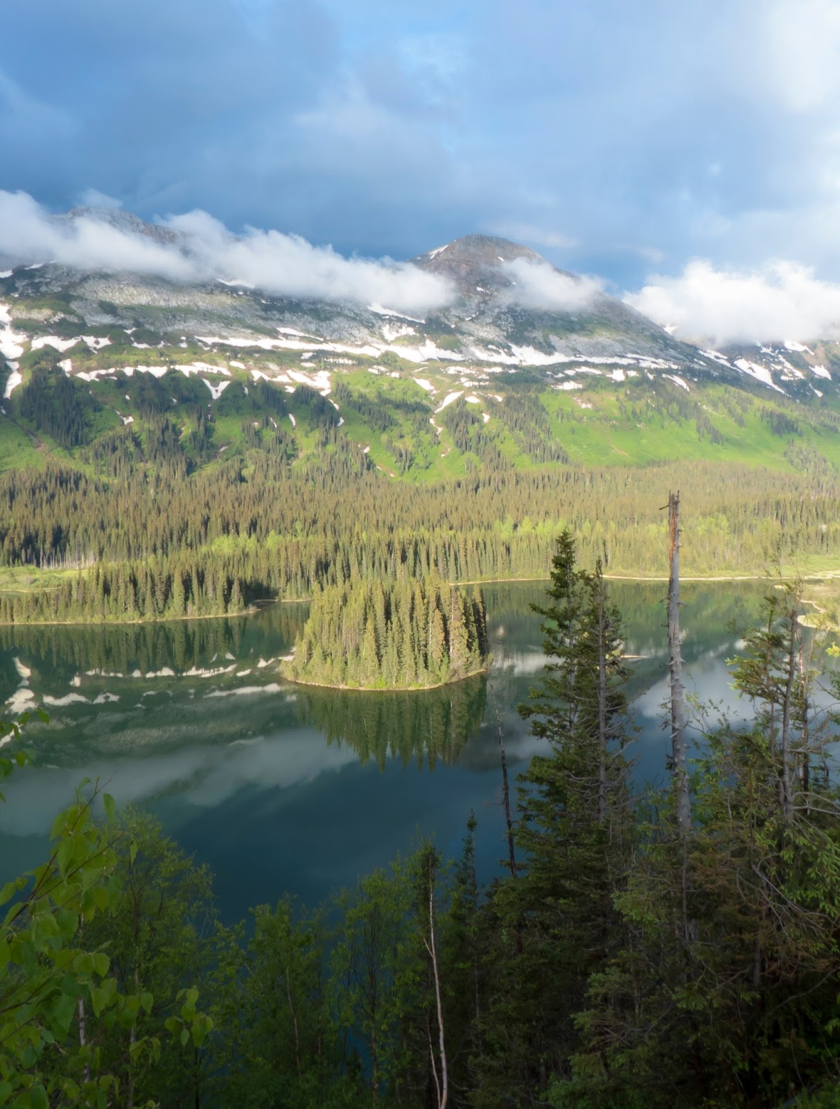 Last of the Curlews: June 2013