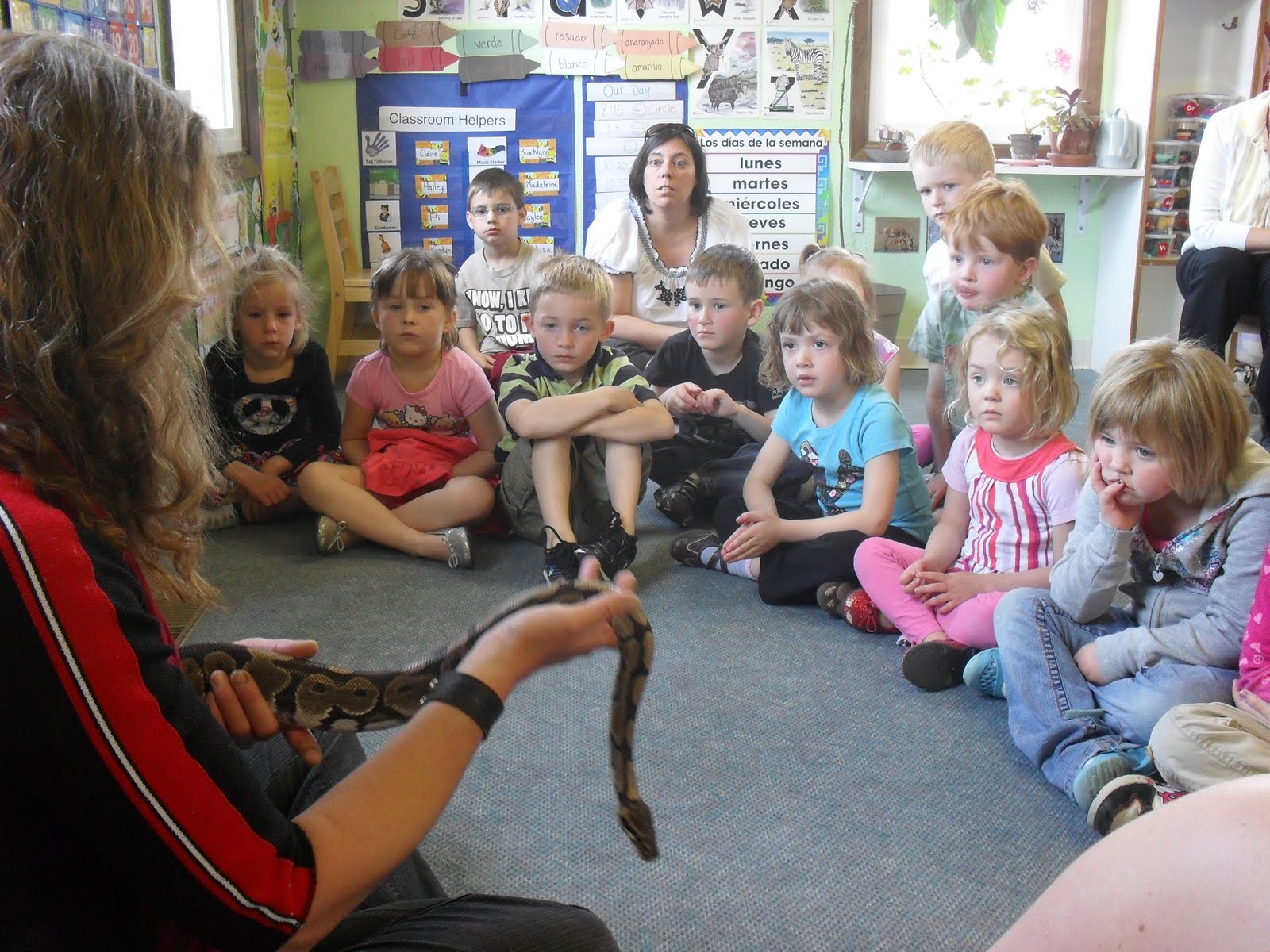 Ms. Ariann's Preschool Classroom: Snake Presentation