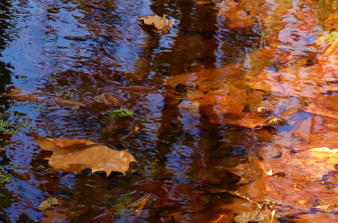 Intelliblog: 06/05/2012 - 13/05/2012