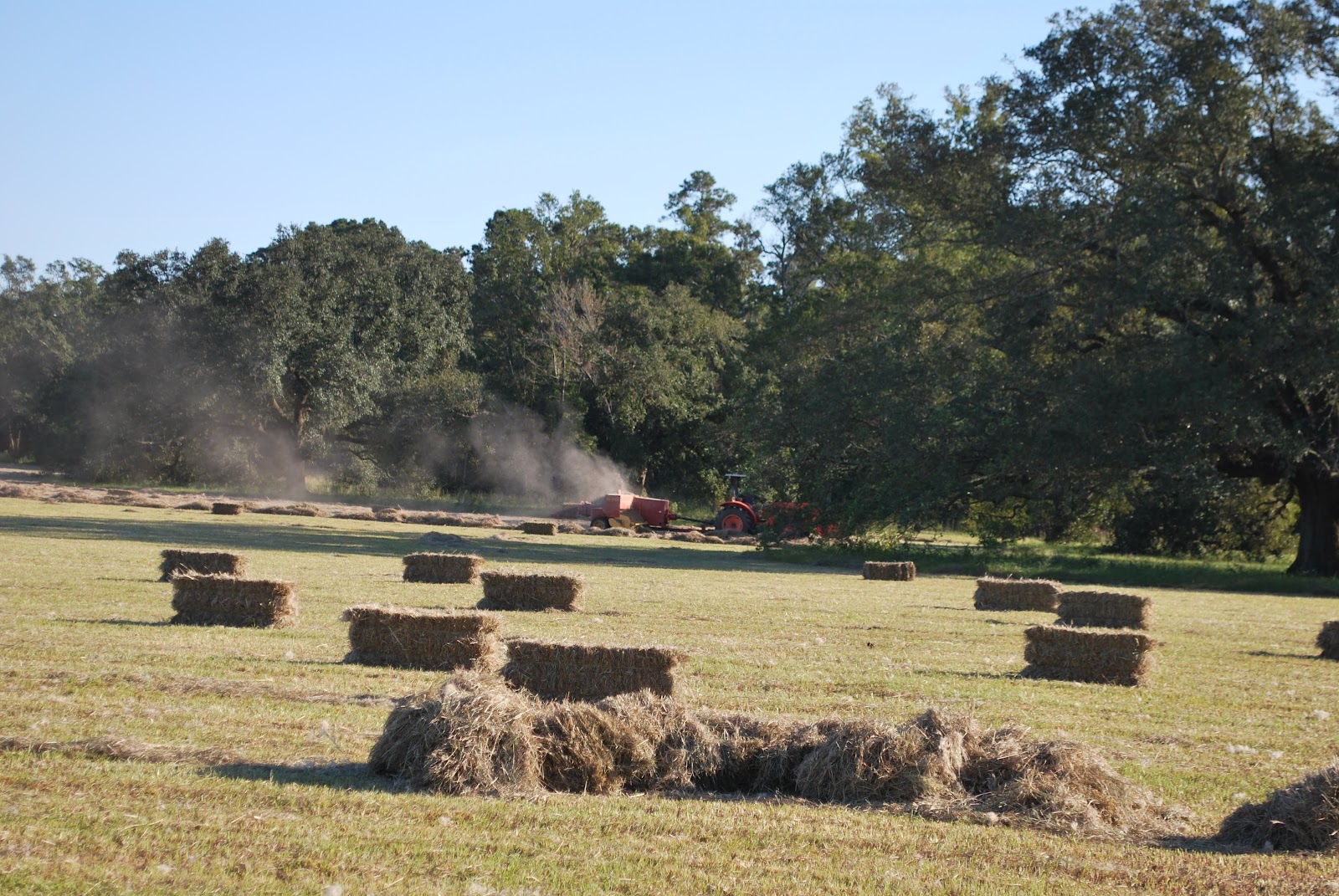 HighTail Farms: Hay Day