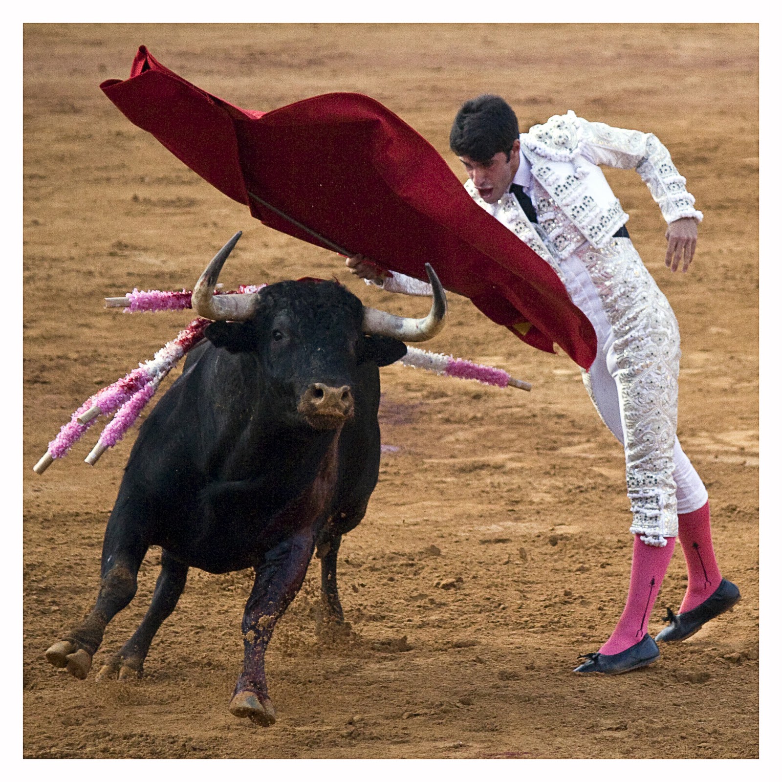 Blog Taurino Remellao : Talavante y el toro Estanquero. 2011-06-26 ...