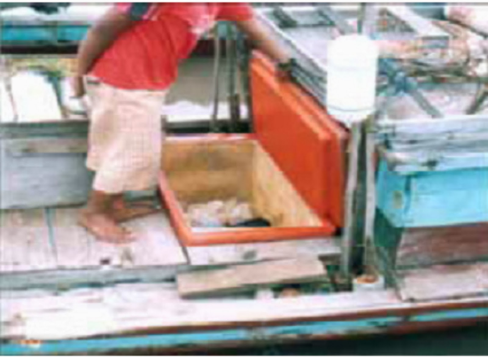 PENANGANAN IKAN DI KAPAL - Lalaukan