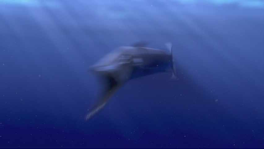 my new plaid pants: Thursday's Ways Not To Die