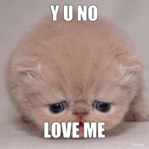 Abby the Librarian: No love