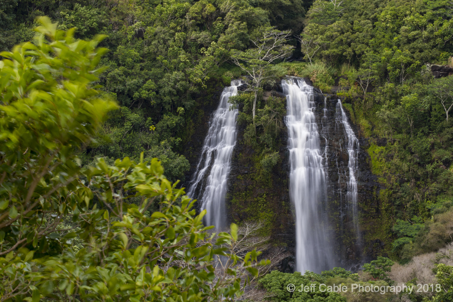 Jeff Cable's Blog: The beauty of the island of Kauai