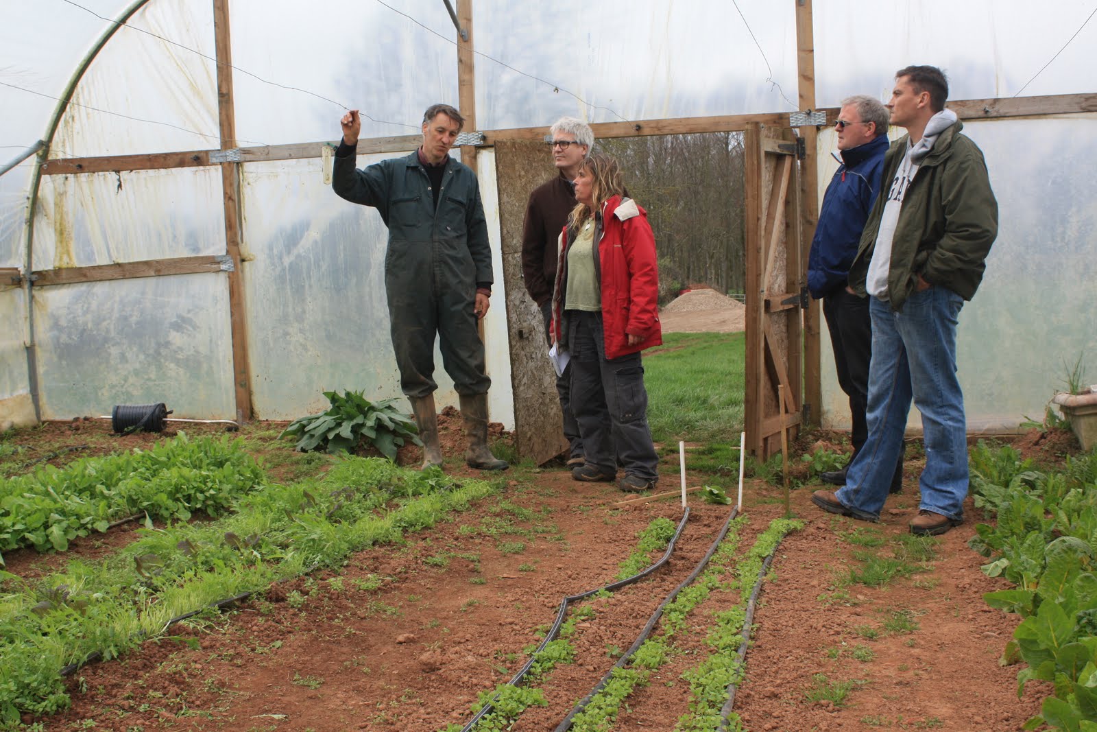 Bosavern Community Farm: The Community Farm, Bristol