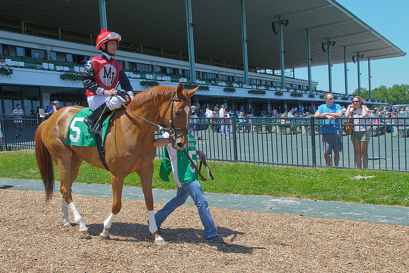 Thoroughbred Daily News Staff Blog: Thewifedoesntknow Training Blog: Q ...