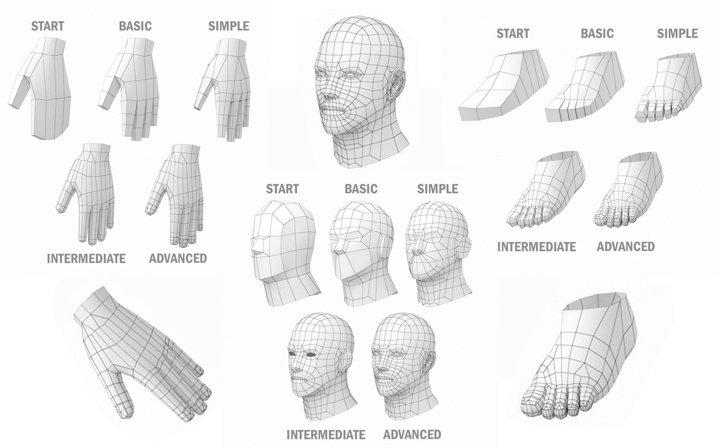 Tutorials : Modeling of Hand, Head and Foot | Layth Jawad