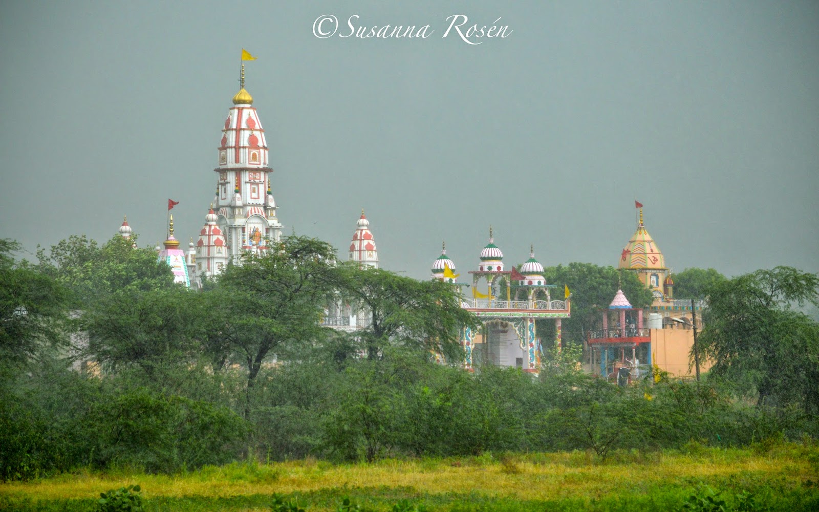 The House of Susanna / my life in India : Rajokri temple+monsoon rain ...