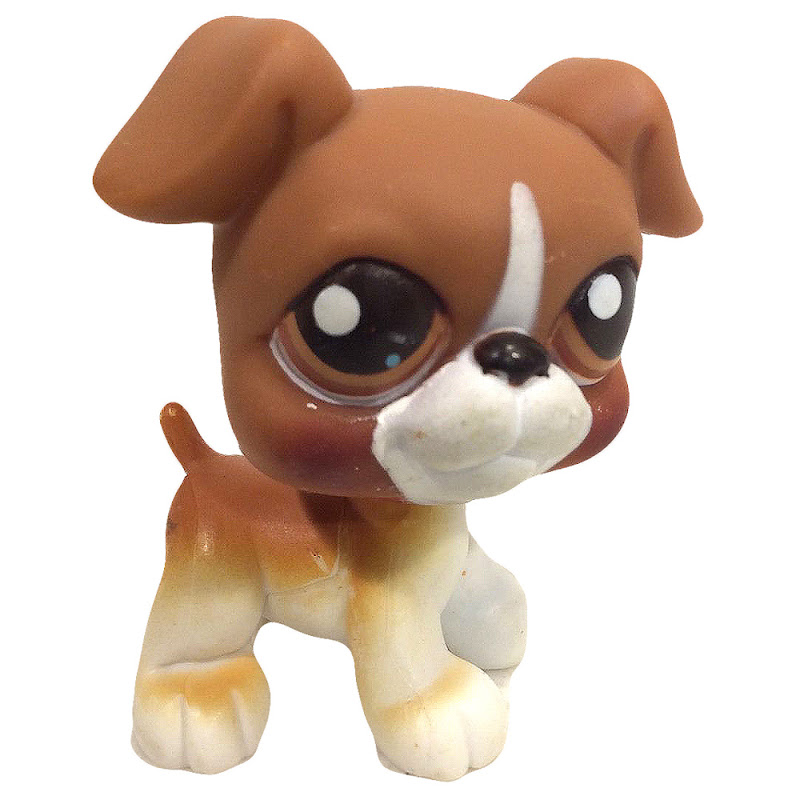 Littlest Pet Shop Large Playset Boxer (#25) Pet | LPS Merch