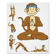 top1 lose weight: fitness monkey