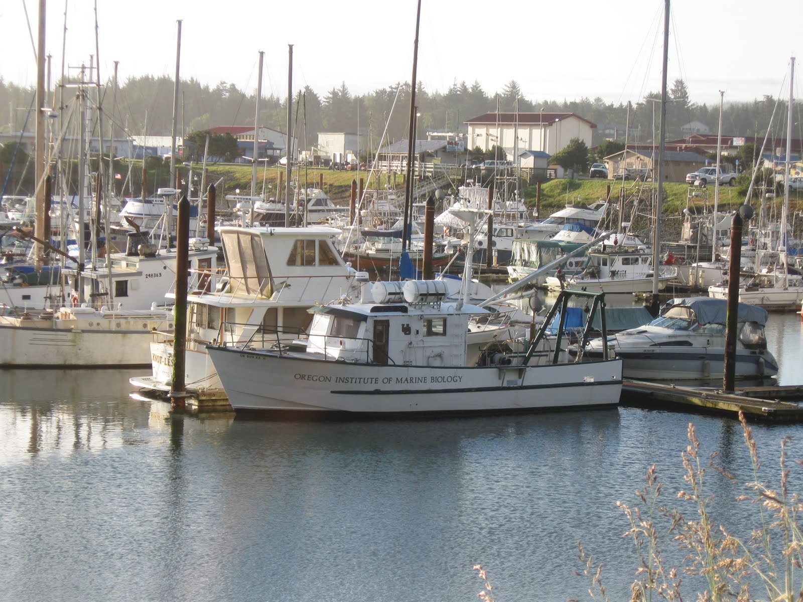 From the Shadow of the Tetons: Visit to the Oregon Institute of Marine ...