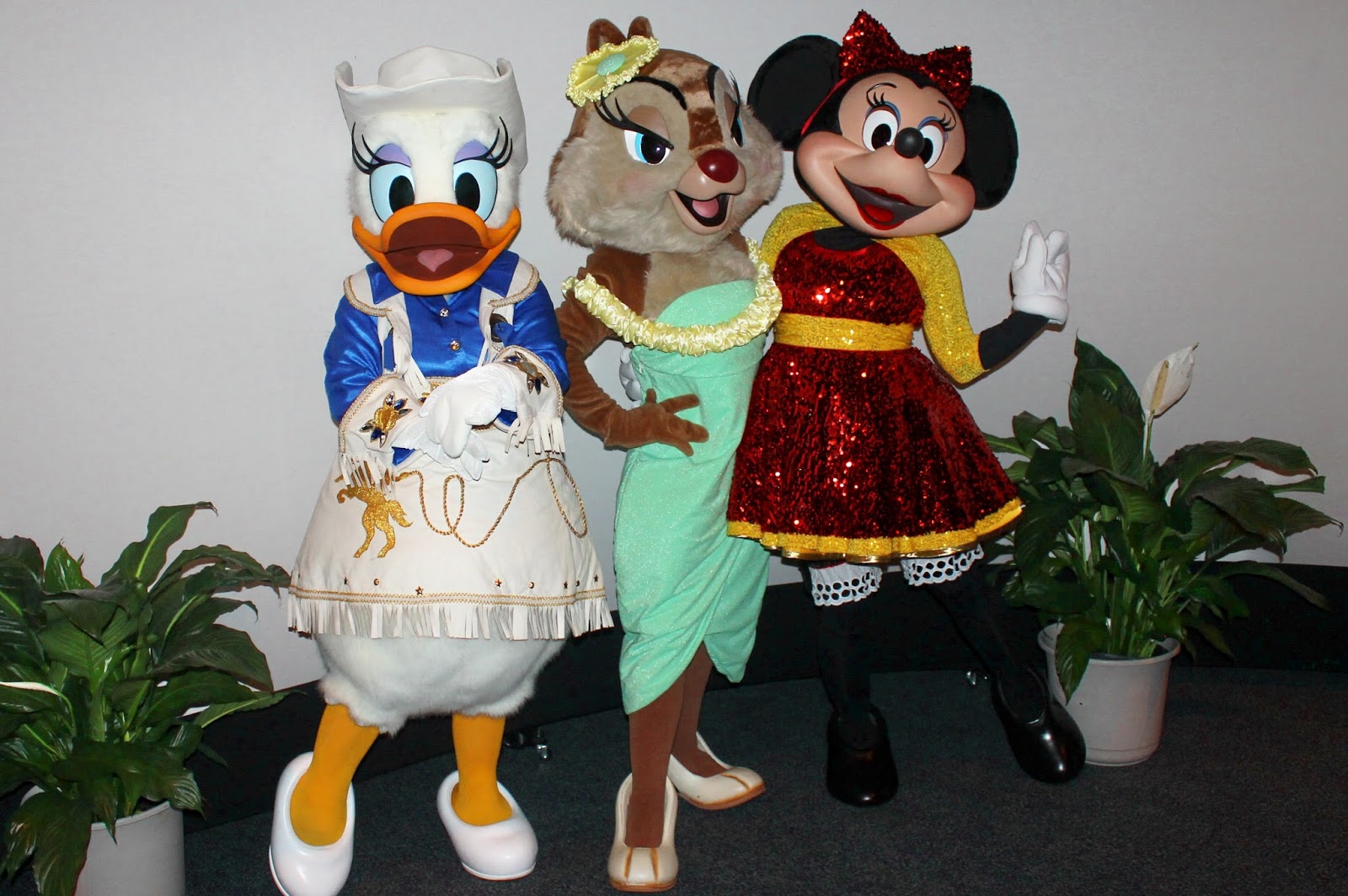 Unofficial Disney Character Hunting Guide: Disney Dreamers Everywhere ...