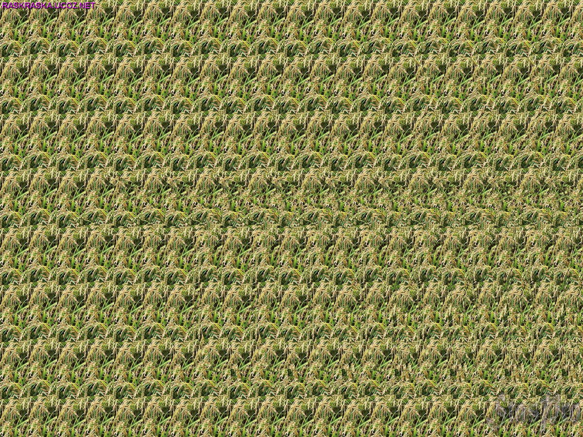 la página de toni: Estereogramas