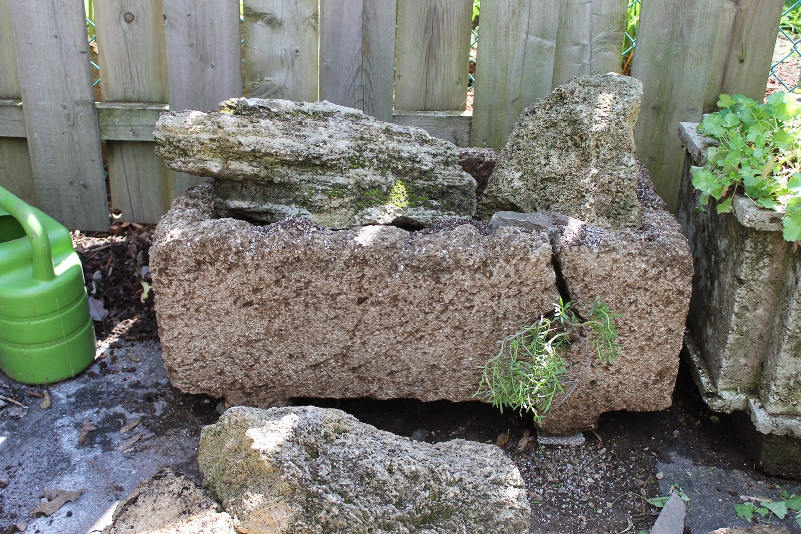 BARROW WORKS: Planting Tufa in a Hypertufa trough