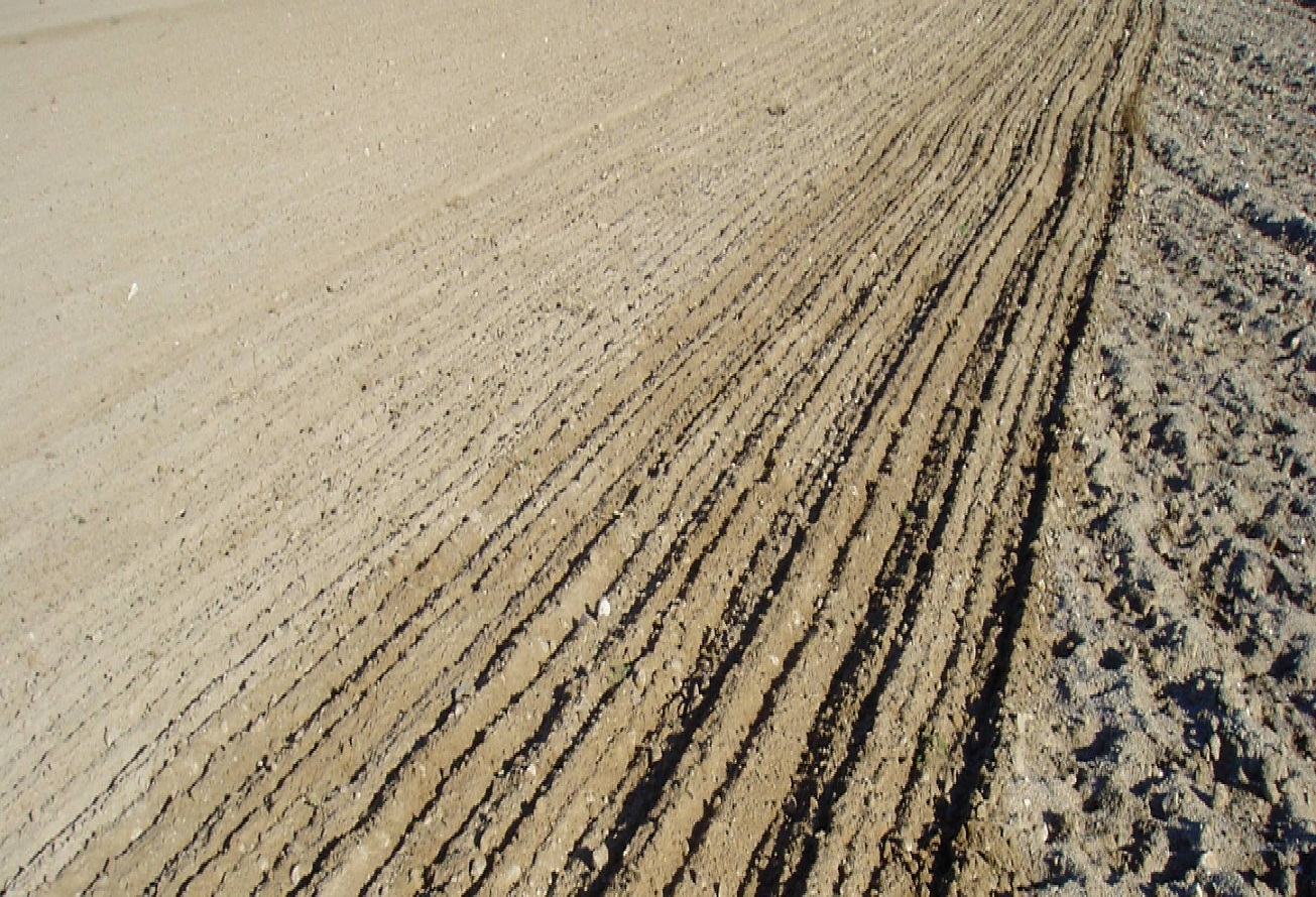 El Agricultor Eficiente: EL SUELO: Edafología