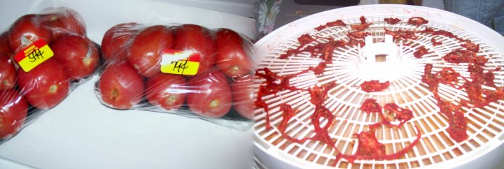 Dehydrating Way Beyond Jerky: Why Dehydrate Your Own Food?