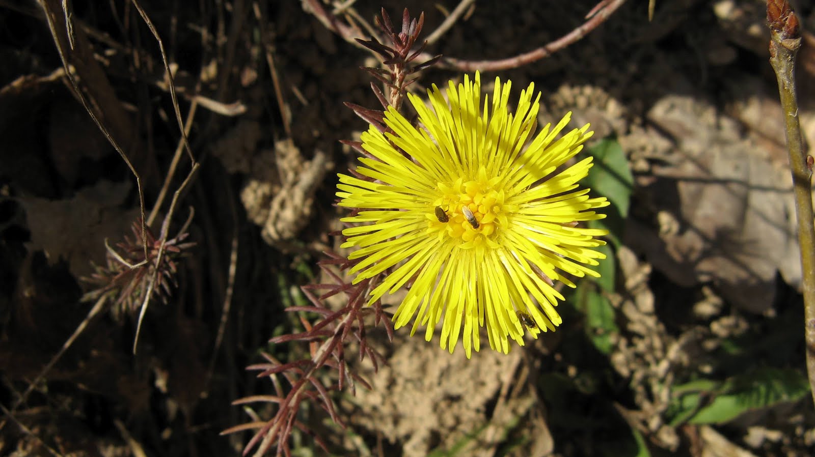 Another Beautiful Day: Anka